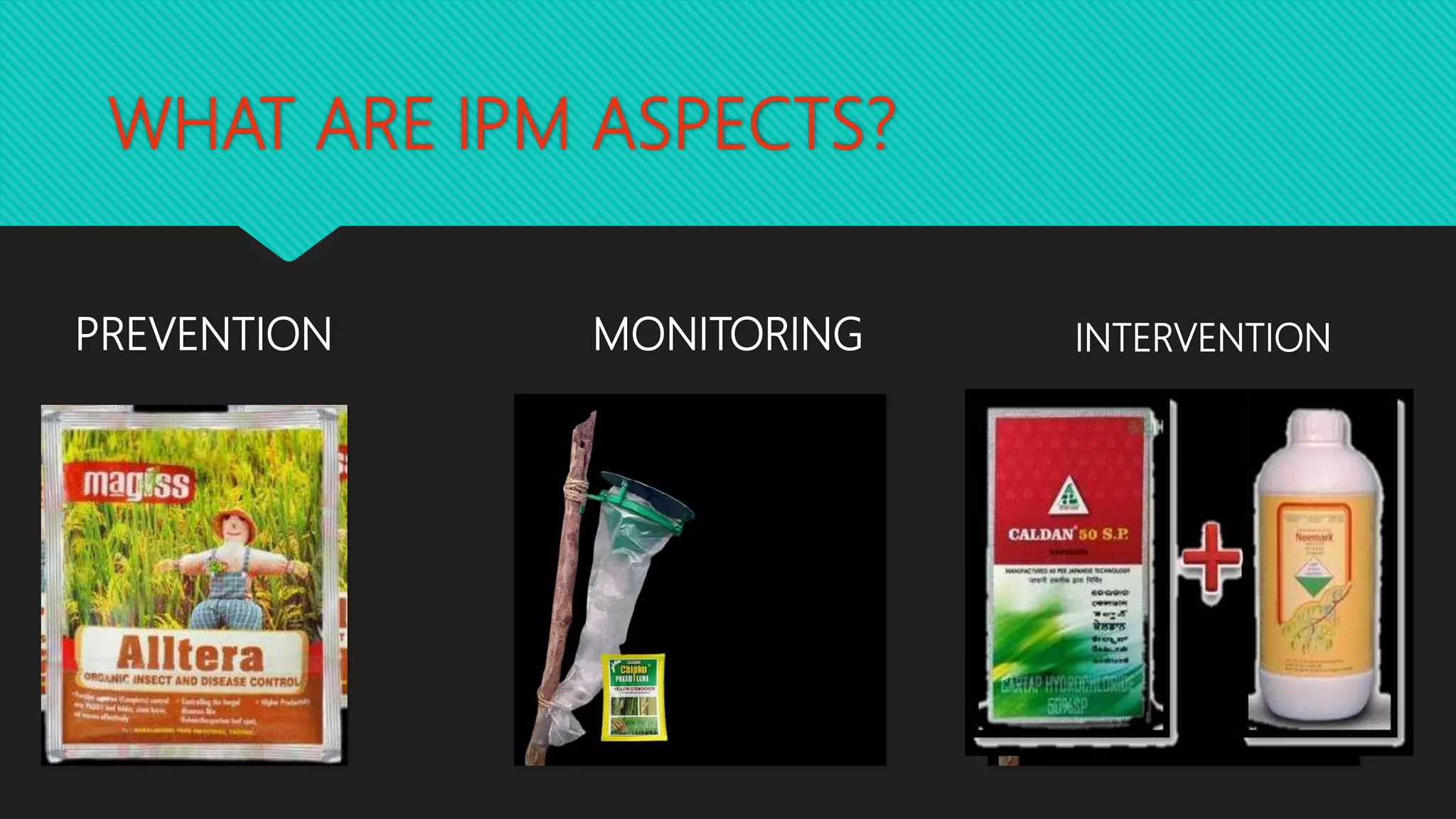 Ipm in rice | PPTX