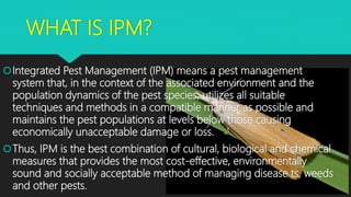 Ipm in rice | PPTX