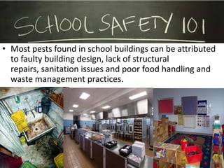 IPM In Schools by Invader Pest Management | PPSX