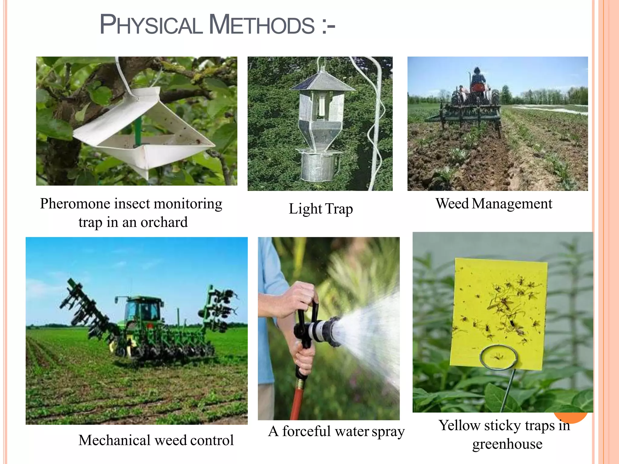 IPM - Integrated Pest management | PPTX