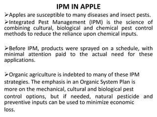 ipm of fruits.pptx | Agriculture | Industries