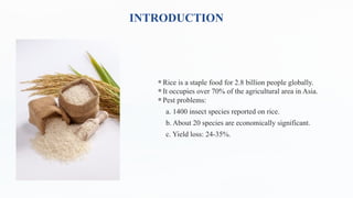 Integrated Pest Management(IPM) on Rice.pptx