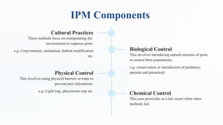 Integrated Pest Management(IPM) on Rice.pptx