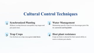 Integrated Pest Management(IPM) on Rice.pptx