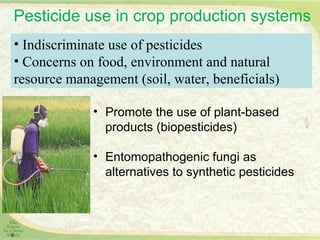 Integrated Pest management in rice base cropping system | PPT