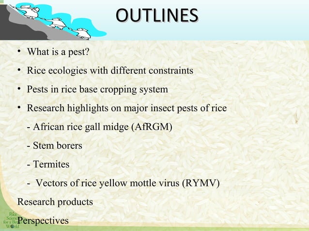 Integrated Pest management in rice base cropping system | PPT
