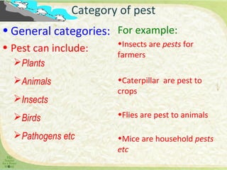 Integrated Pest management in rice base cropping system | PPT