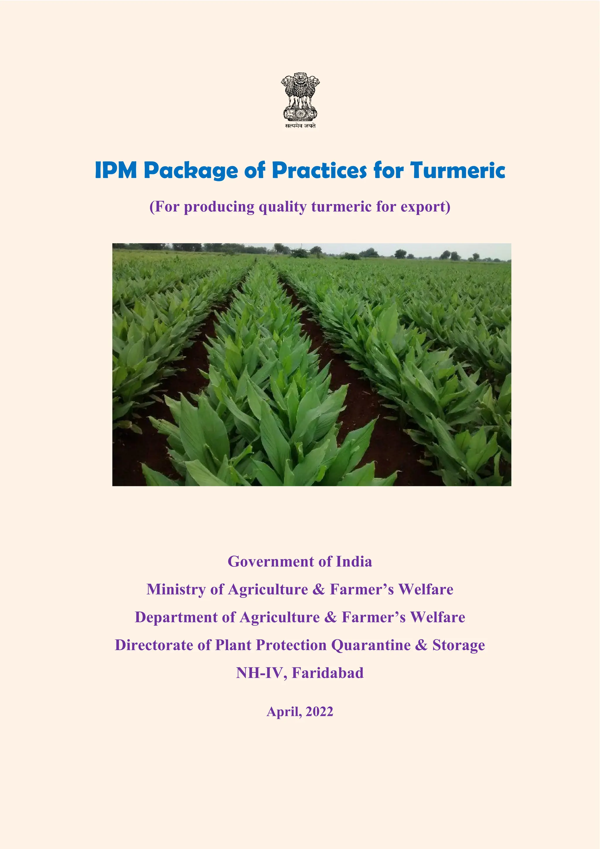 ipm_pop-turmeric.pdf TURMEIC INTEGRATED PEST MANAGMENT | PDF