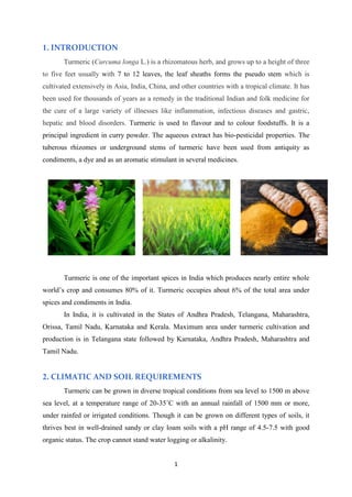 ipm_pop-turmeric.pdf TURMEIC INTEGRATED PEST MANAGMENT | PDF