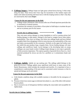 IPM practices for cabbage in Nepal | PDF