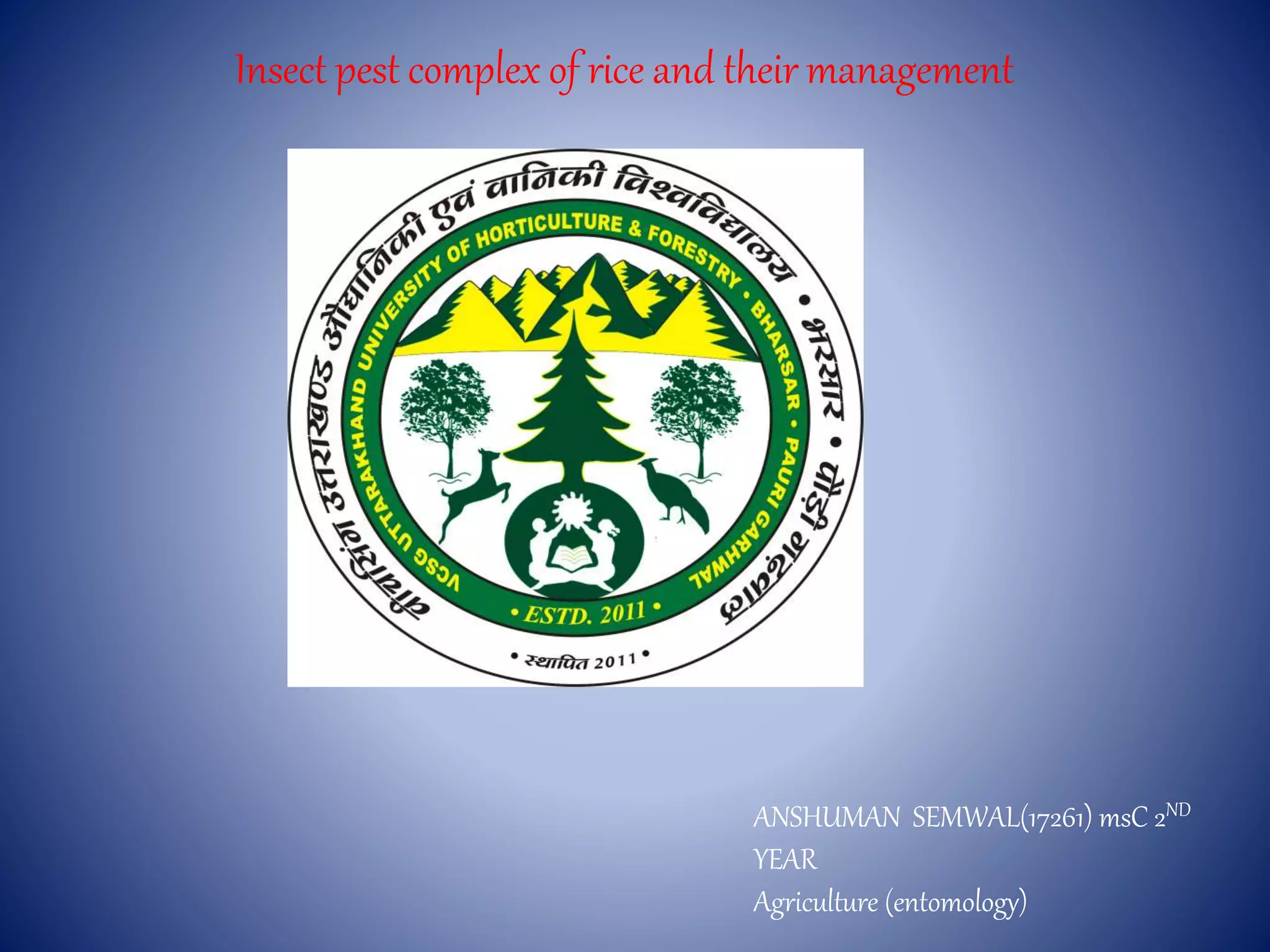 IPM in rice | PPTX