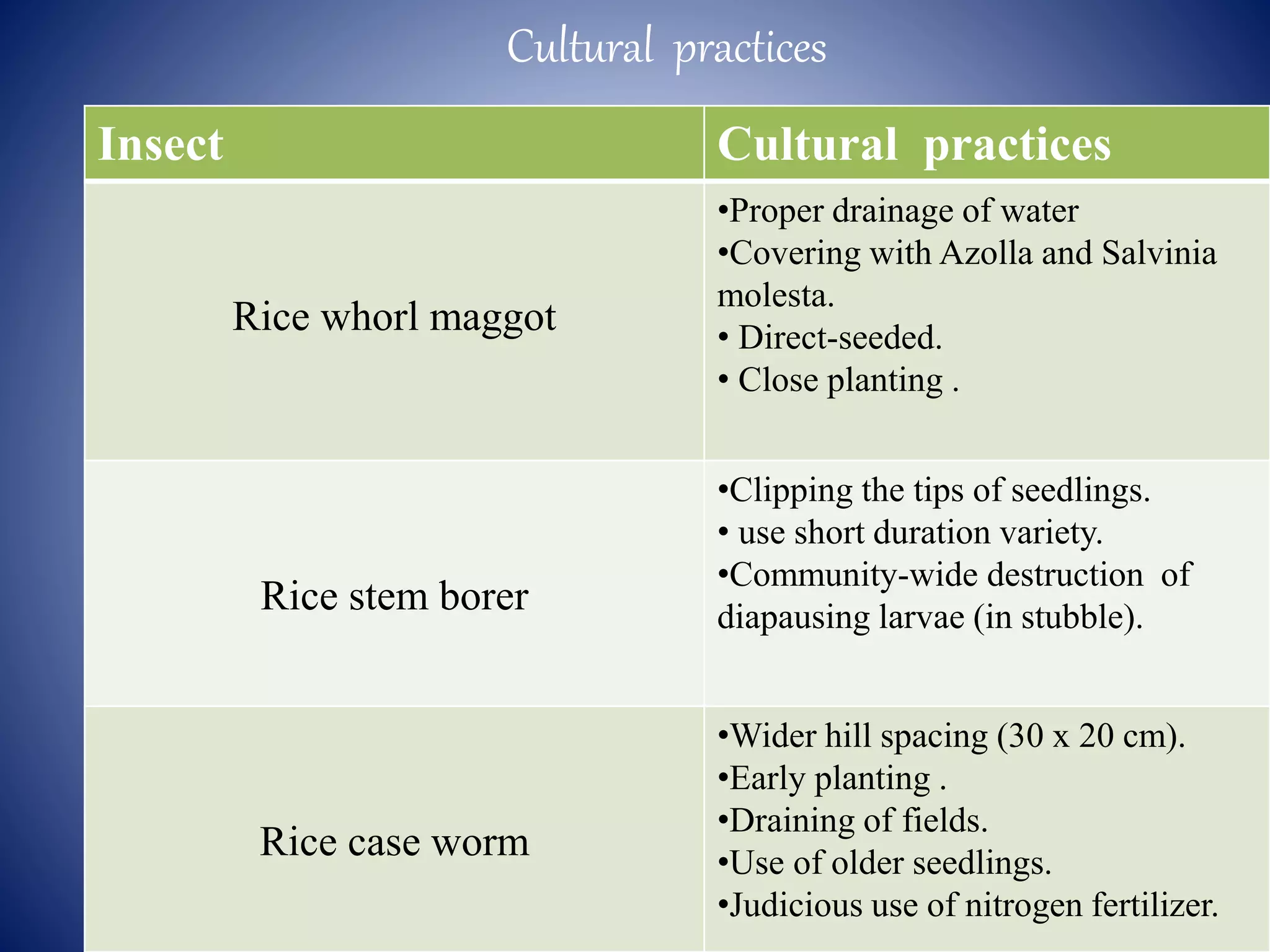 IPM in rice | PPTX