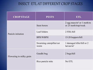IPM in rice | PPTX