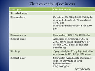 IPM in rice | PPTX