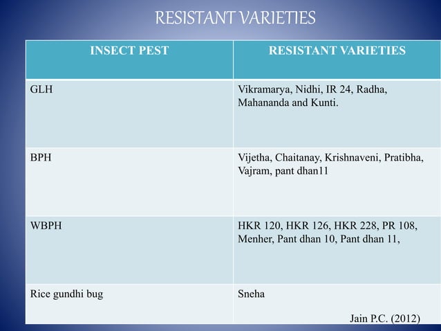 IPM in rice | PPTX