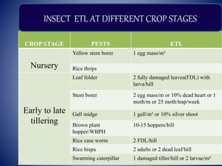 IPM in rice | PPTX