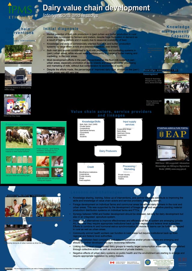 Dairy value chain development: interventions and lessons | PDF