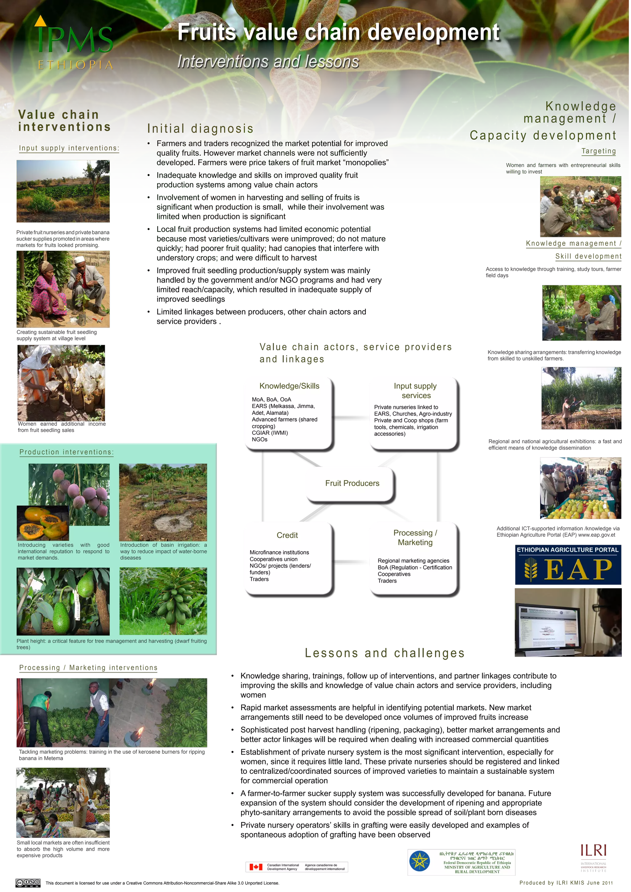 Fruits value chain development: interventions and lessons | PDF | Agriculture | Industries