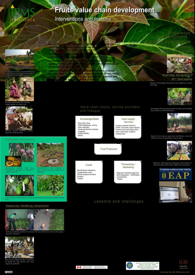 Fruits value chain development: interventions and lessons | PDF | Agriculture | Industries