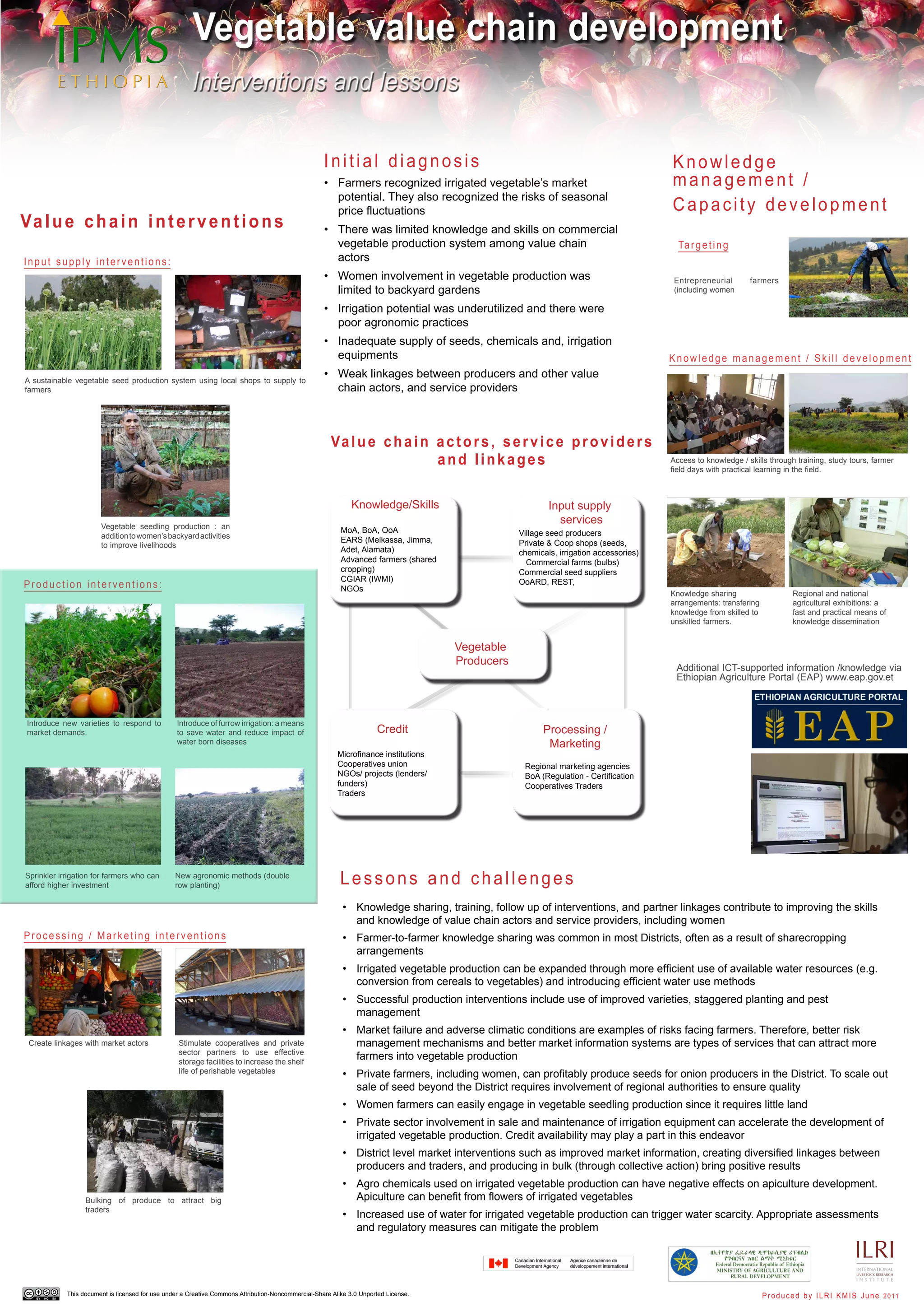 Vegetable value chain development: interventions and lessons | PDF