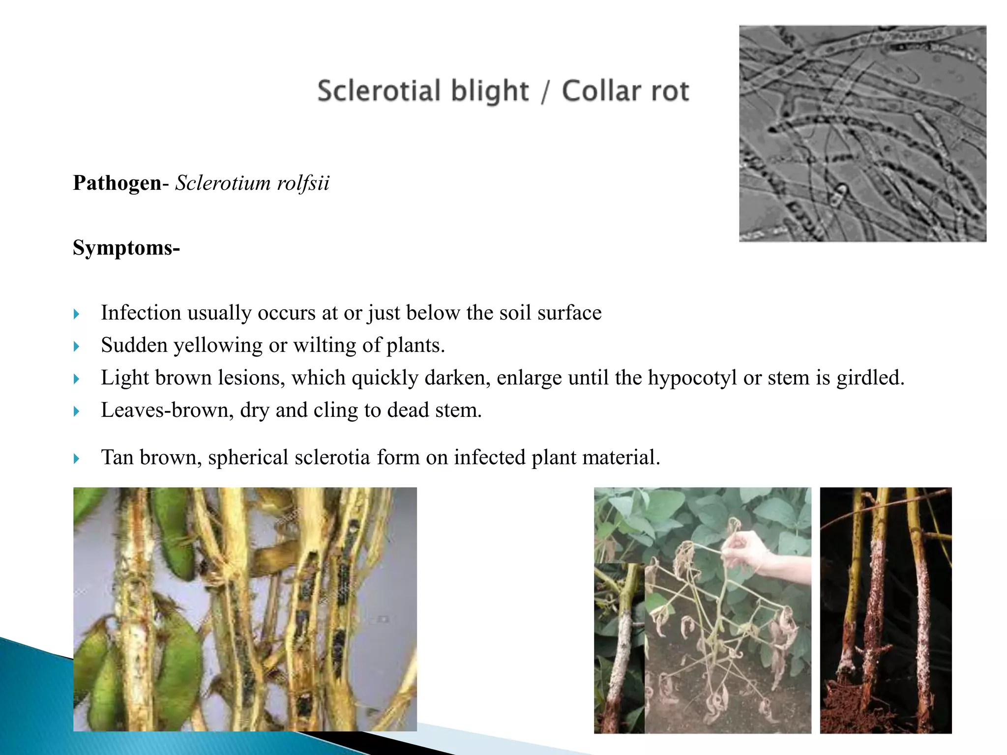 IPM & IDM - soybean-Bismoy Mohanty | PPTX