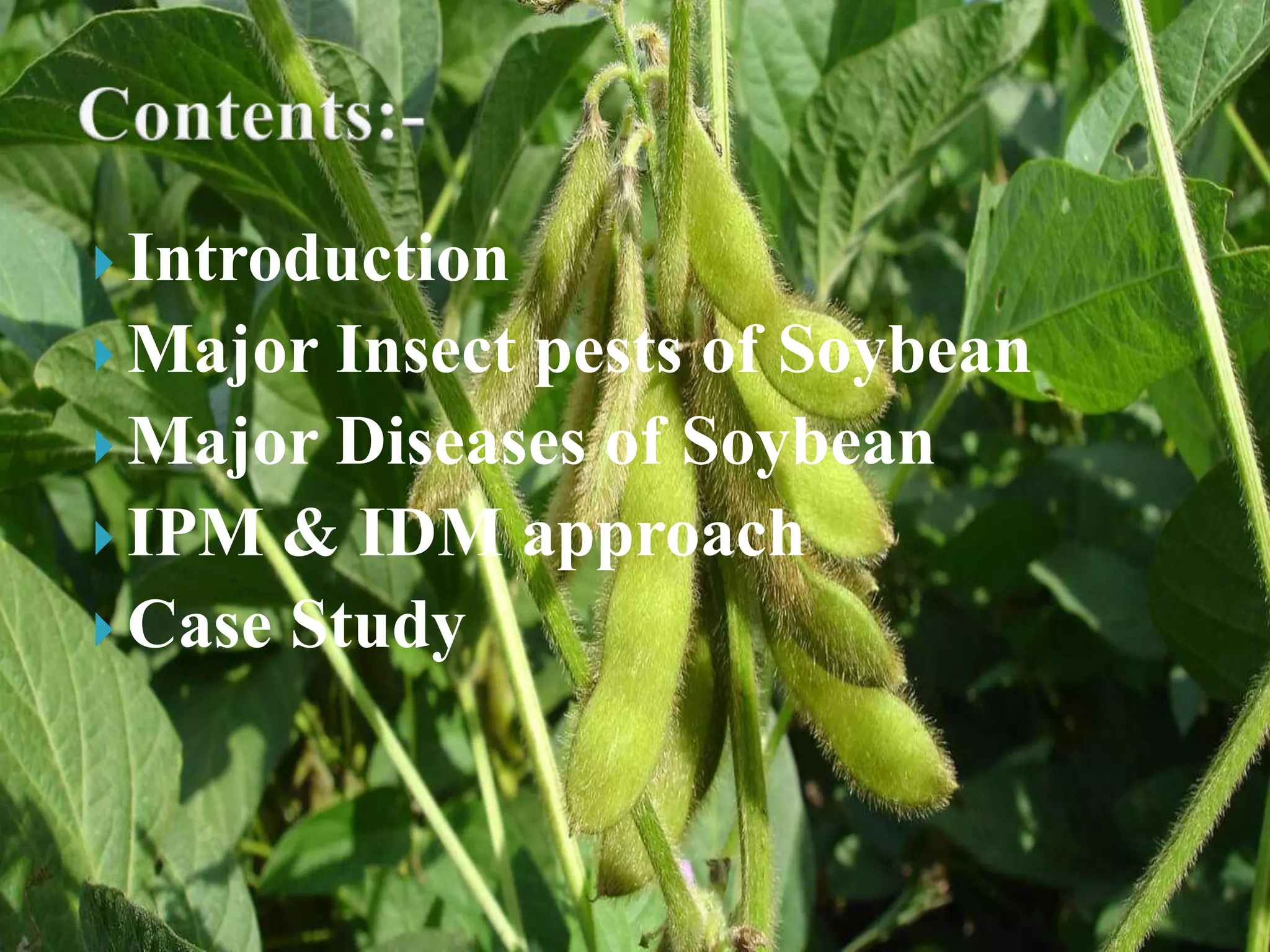 IPM & IDM - soybean-Bismoy Mohanty | PPTX