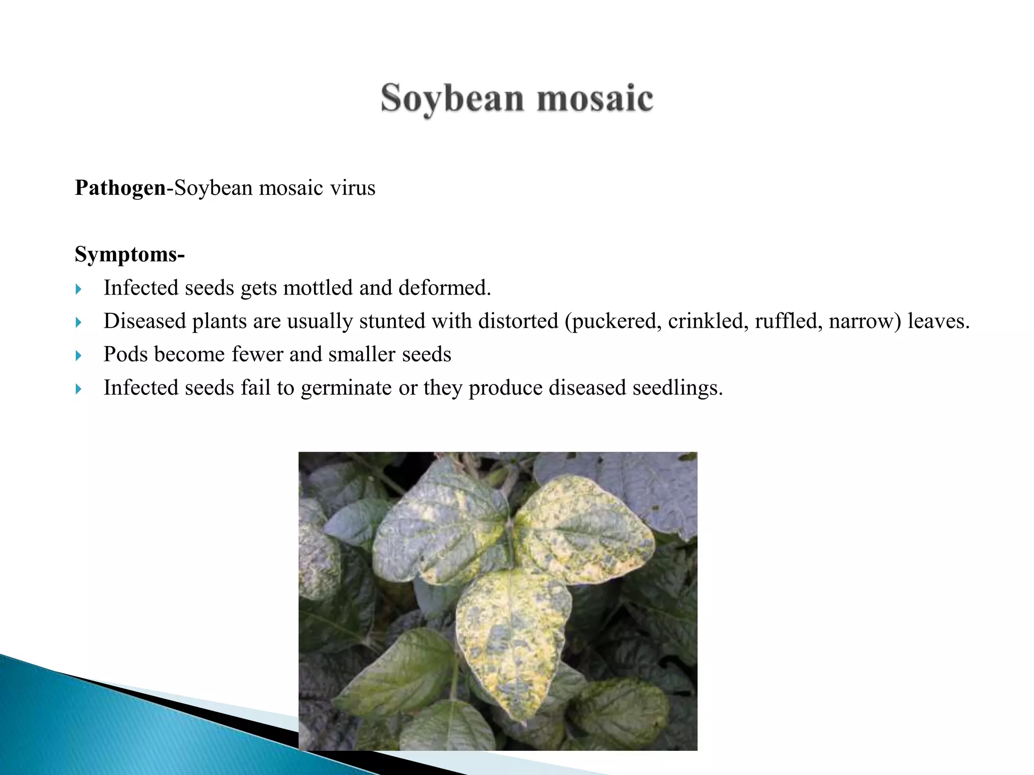 IPM & IDM - soybean-Bismoy Mohanty | PPTX