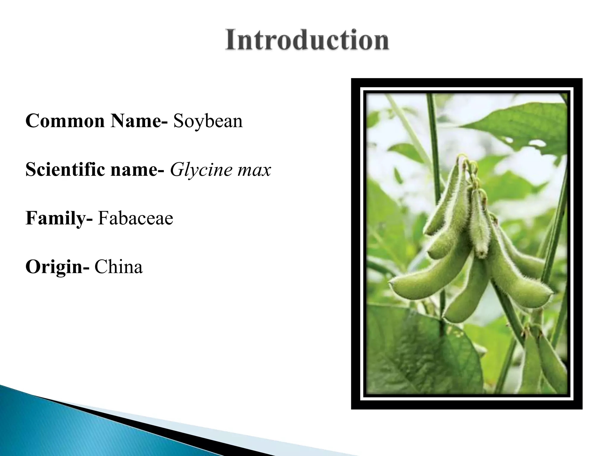 IPM & IDM - soybean-Bismoy Mohanty | PPTX