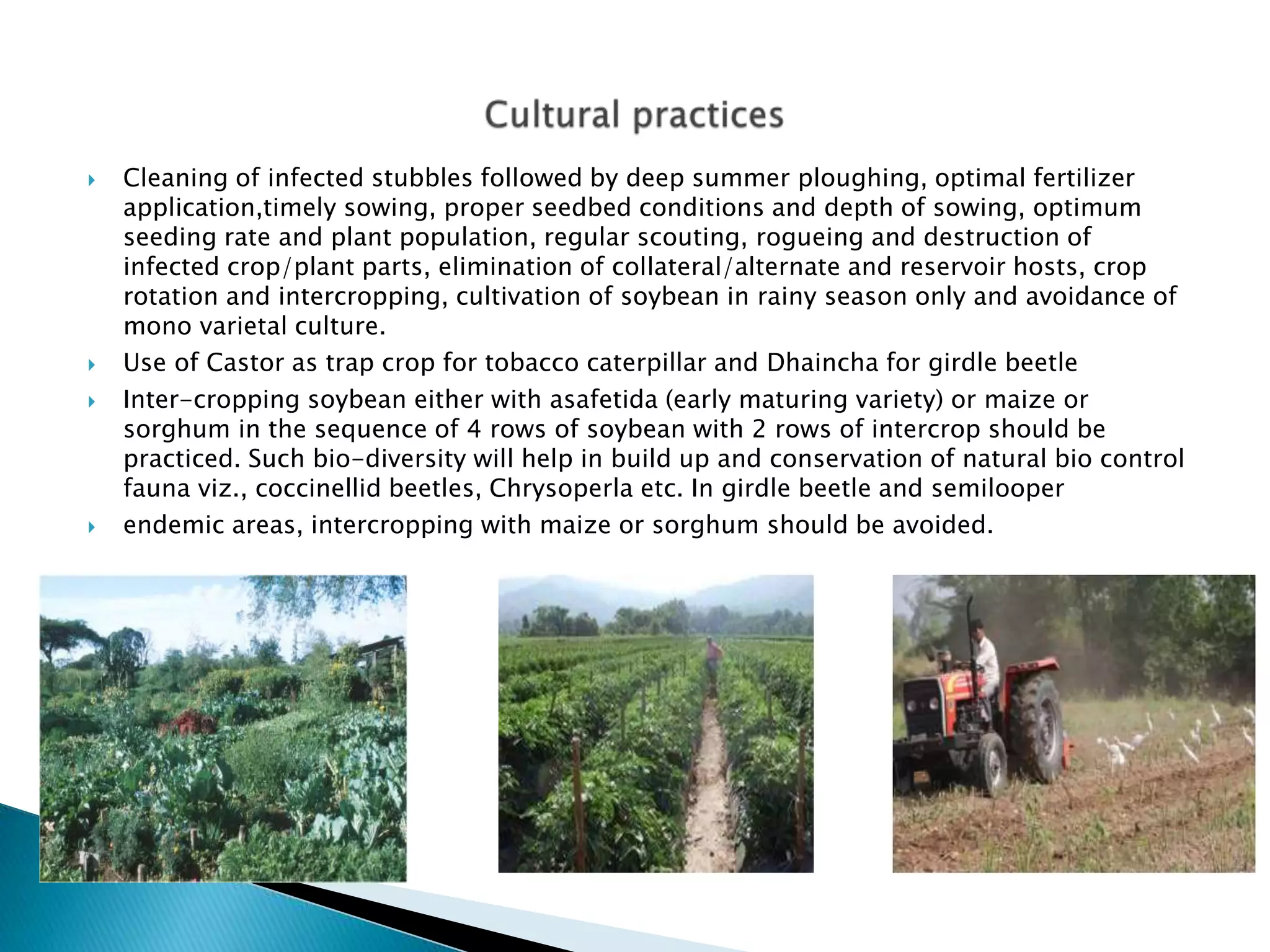 IPM & IDM - soybean-Bismoy Mohanty | PPTX