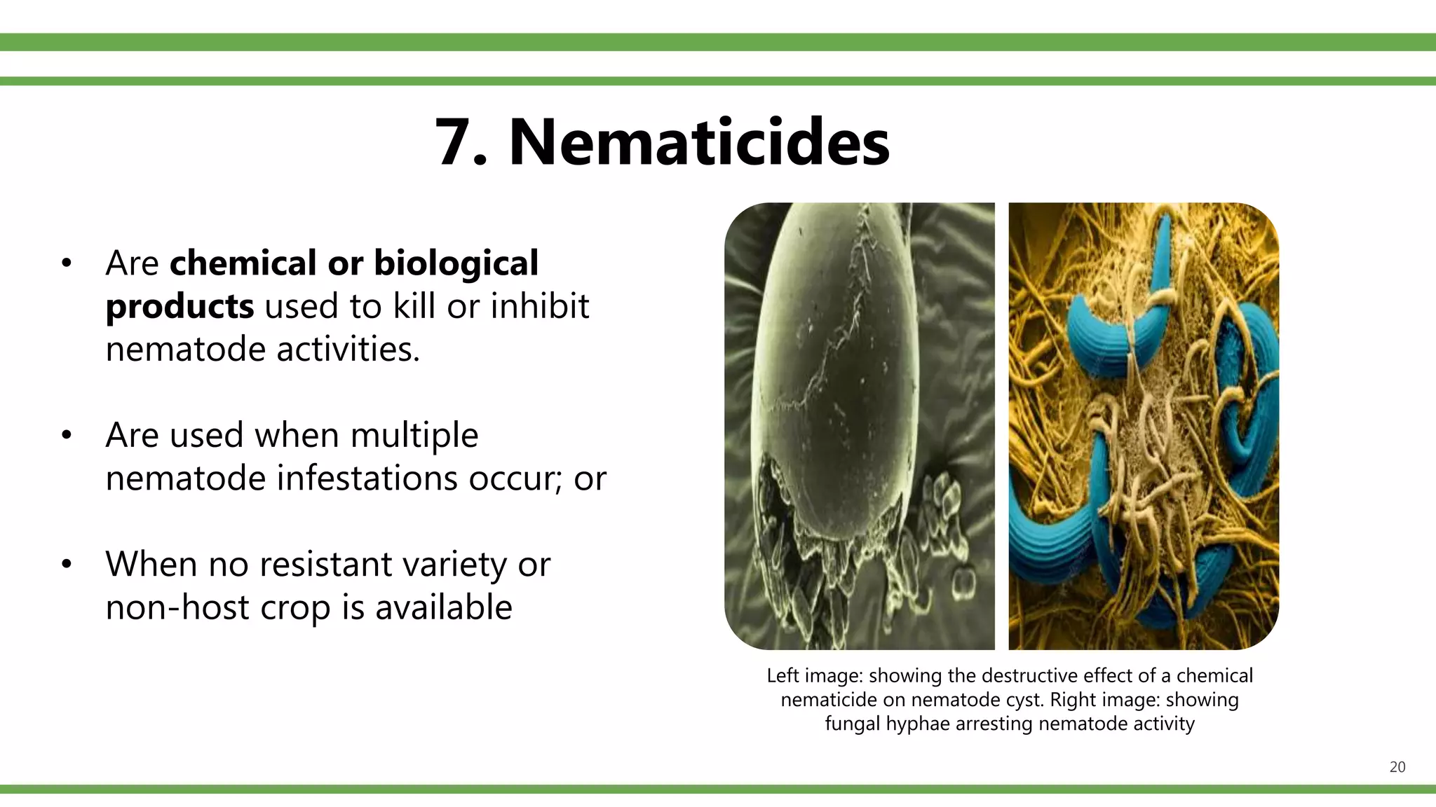 IPM strategies for plant-parasitic nematodes_R.Akinrinlola.pptx