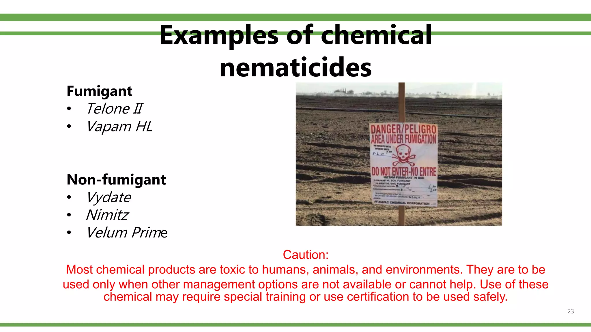 IPM strategies for plant-parasitic nematodes_R.Akinrinlola.pptx