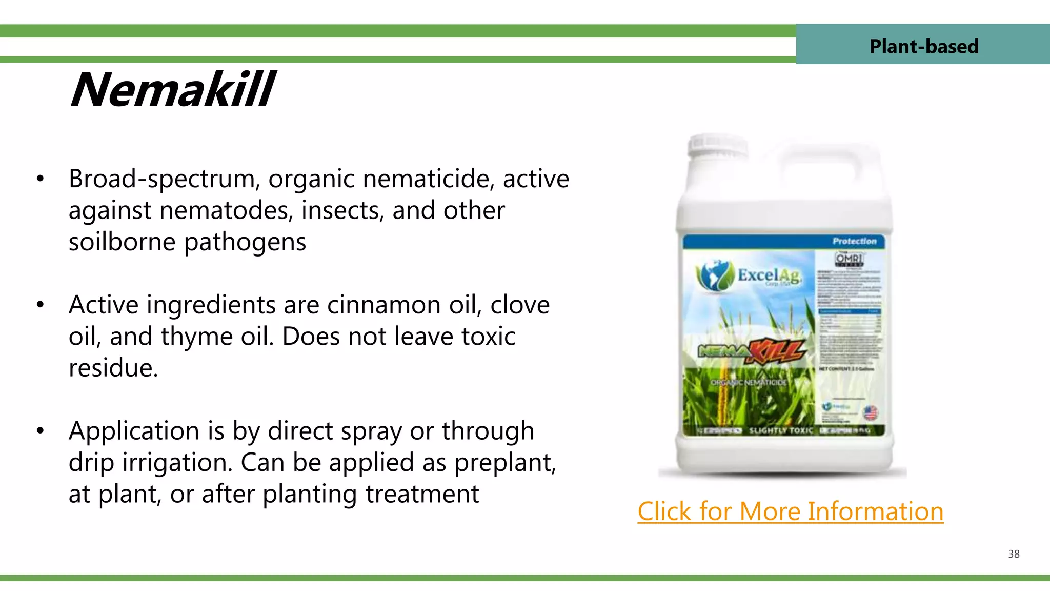 IPM strategies for plant-parasitic nematodes_R.Akinrinlola.pptx