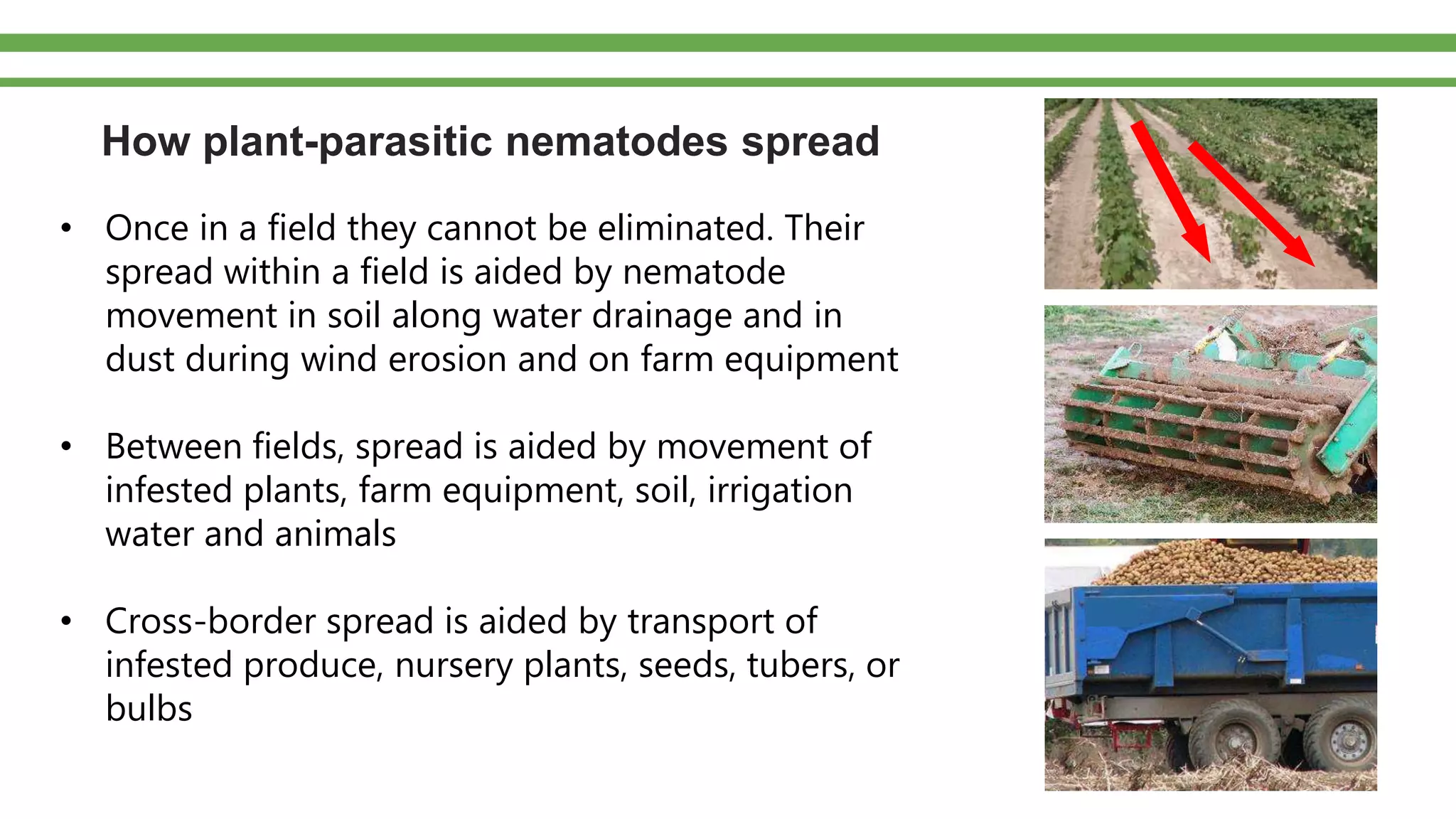 IPM strategies for plant-parasitic nematodes_R.Akinrinlola.pptx