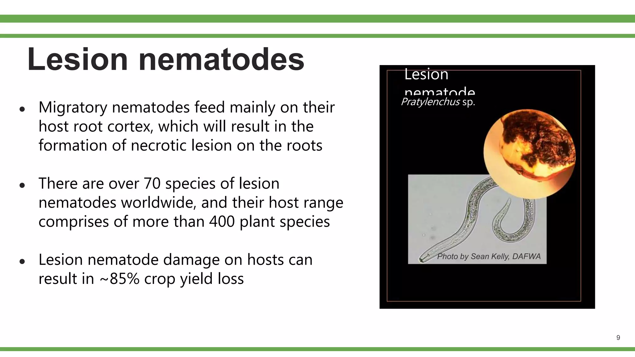 IPM strategies for plant-parasitic nematodes_R.Akinrinlola.pptx