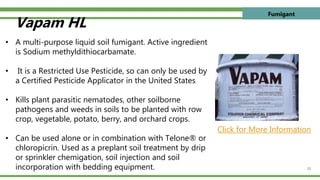 IPM strategies for plant-parasitic nematodes_R.Akinrinlola.pptx