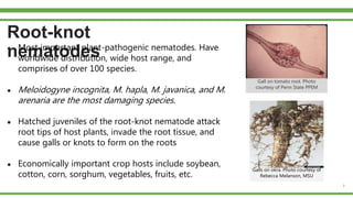 IPM strategies for plant-parasitic nematodes_R.Akinrinlola.pptx
