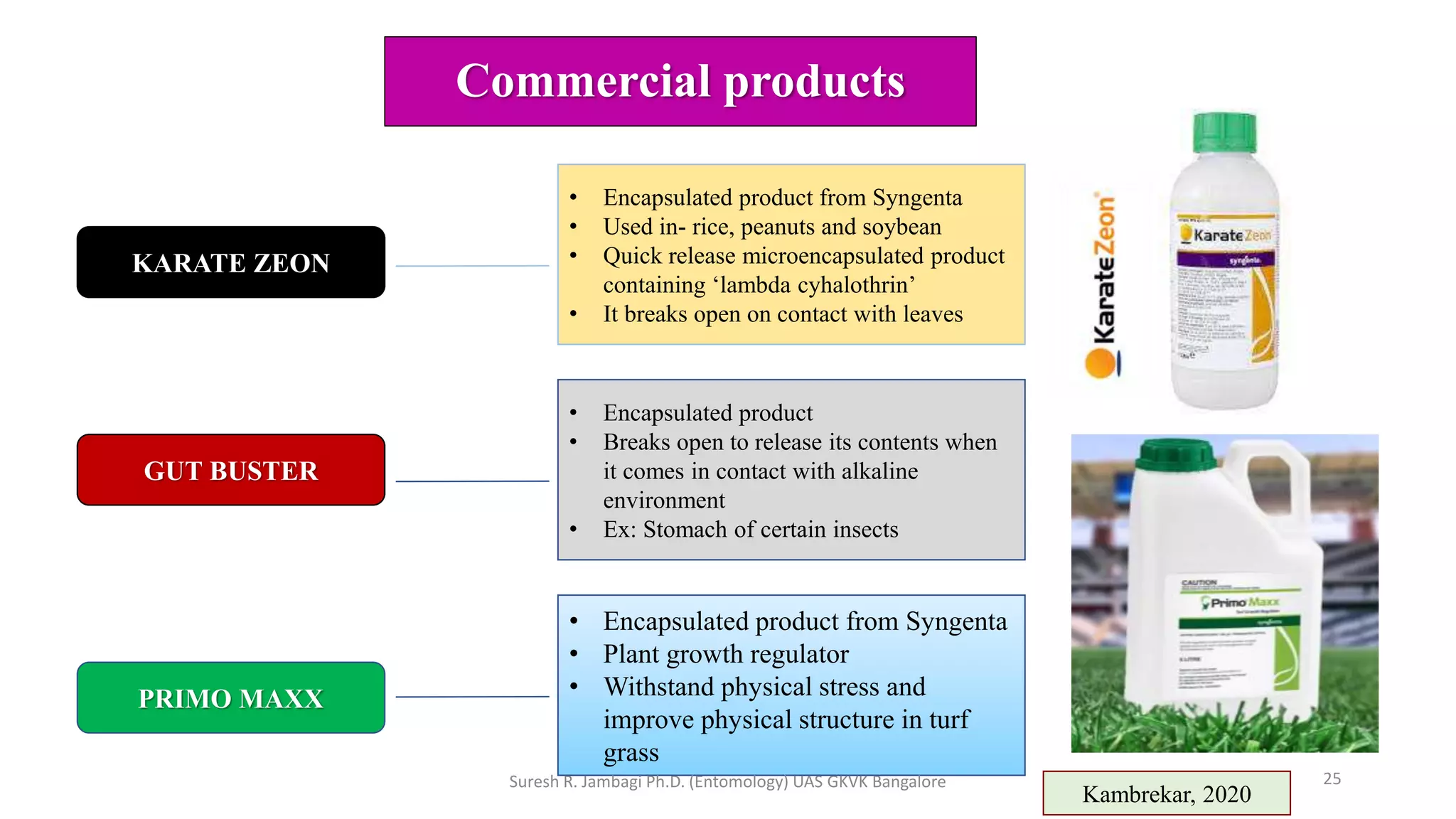 Nanotechnology in Insect Pest Control | PPTX