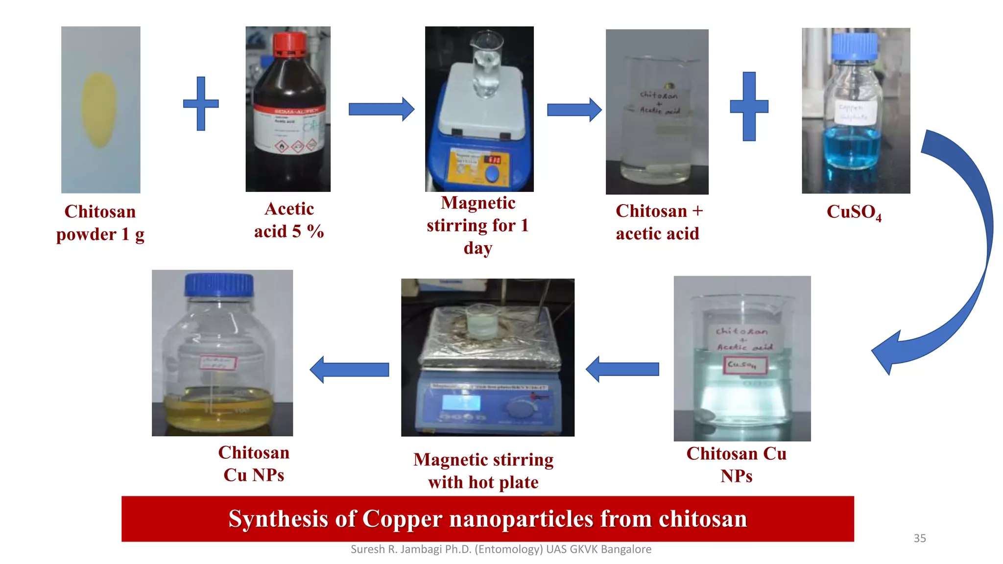 Nanotechnology in Insect Pest Control | PPTX