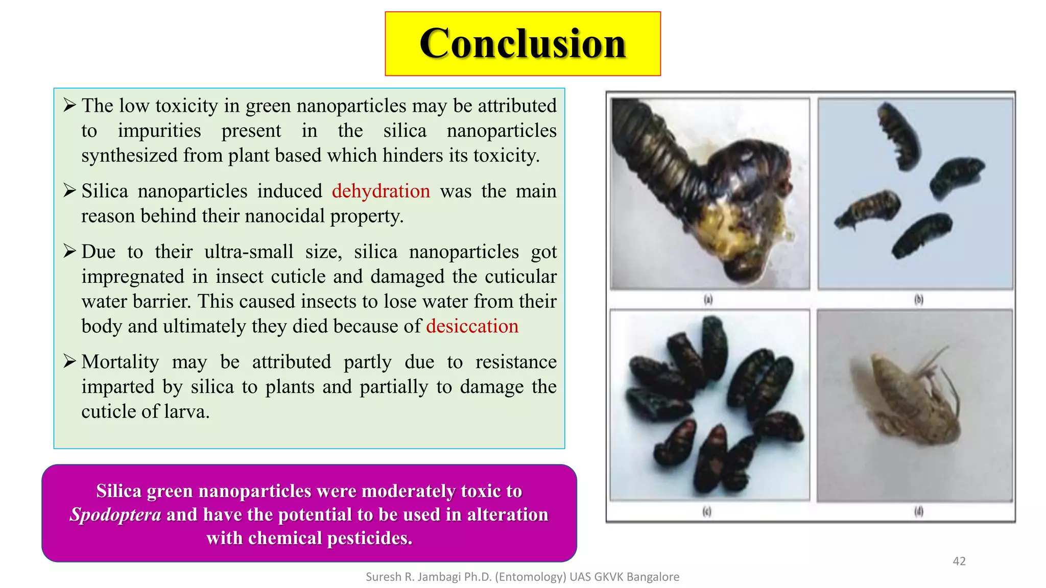 Nanotechnology in Insect Pest Control | PPTX