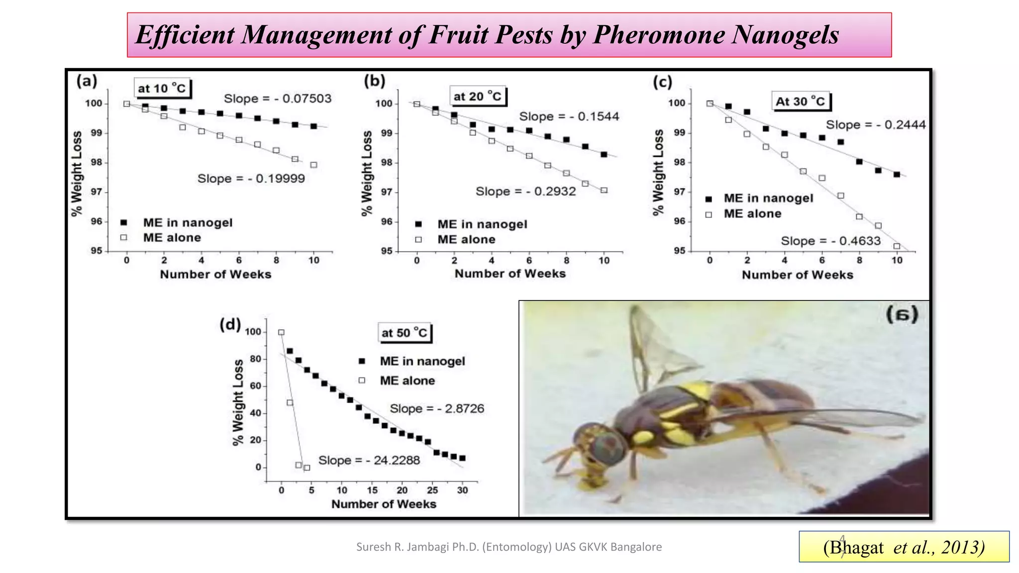 Nanotechnology in Insect Pest Control | PPTX