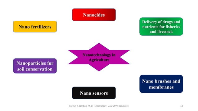 Nanotechnology in Insect Pest Control | PPTX