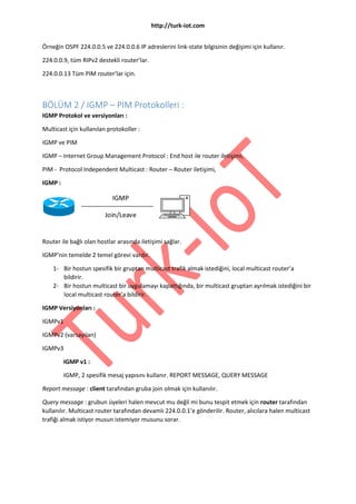 IP Multicasting Turk-IoT | PDF
