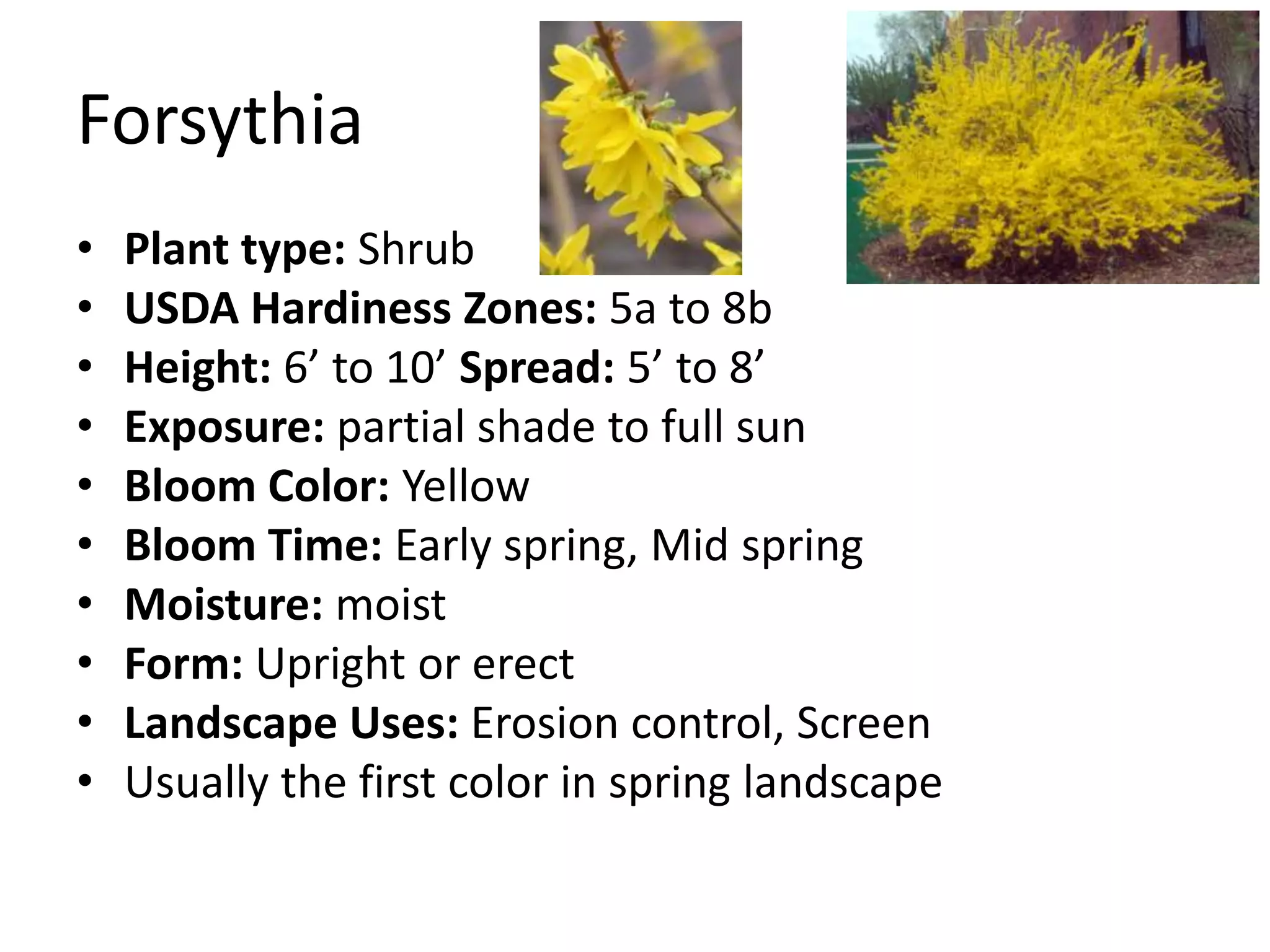 Ipm Unit Plants Pptx