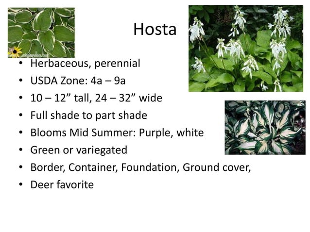 Ipm unit plants | PPT