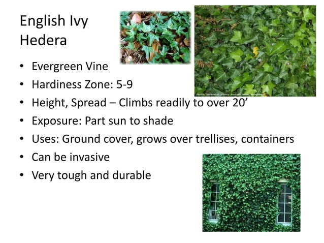 Ipm unit plants | PPT