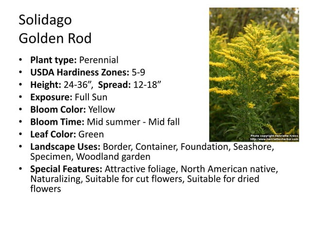 Ipm unit plants | PPT