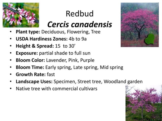 Ipm unit plants | PPT