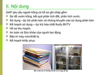Ipm_va_gap_cay_buoi | PPT