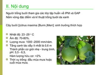 Ipm_va_gap_cay_buoi | PPT