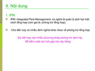 Ipm_va_gap_cay_buoi | PPT
